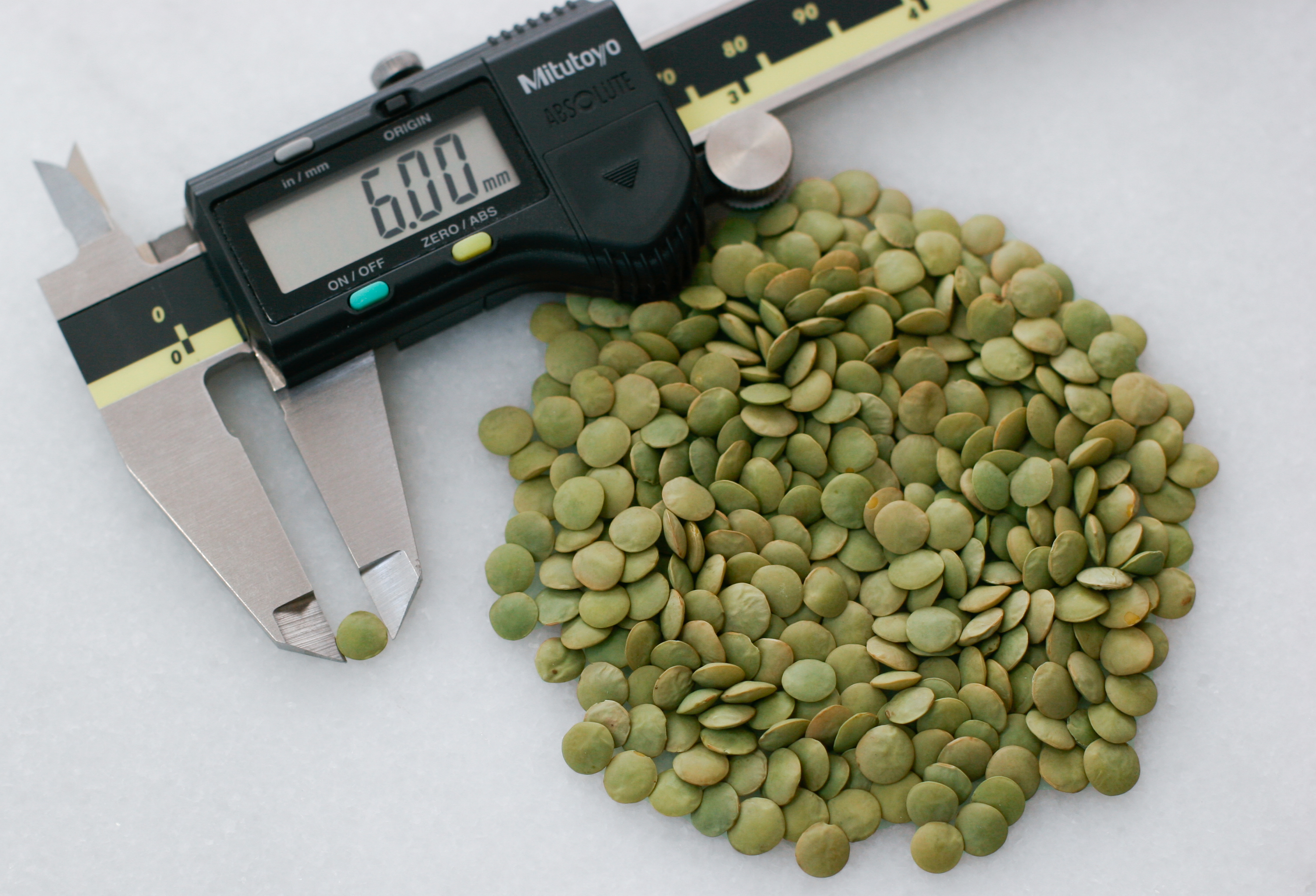 How to Sort Lentils | Porkulent